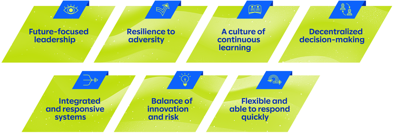 Building an adaptive organization