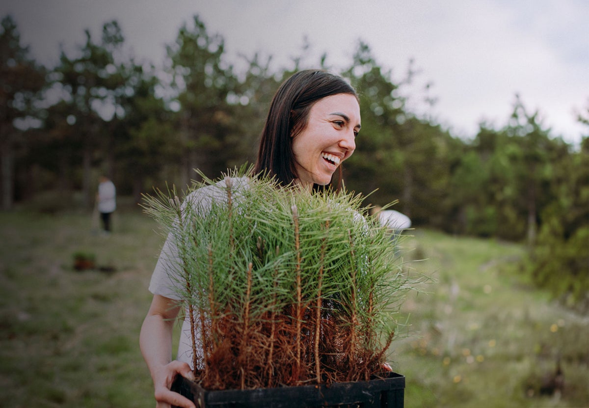Holistic Sustainability Consulting For A Greener Future | Slalom